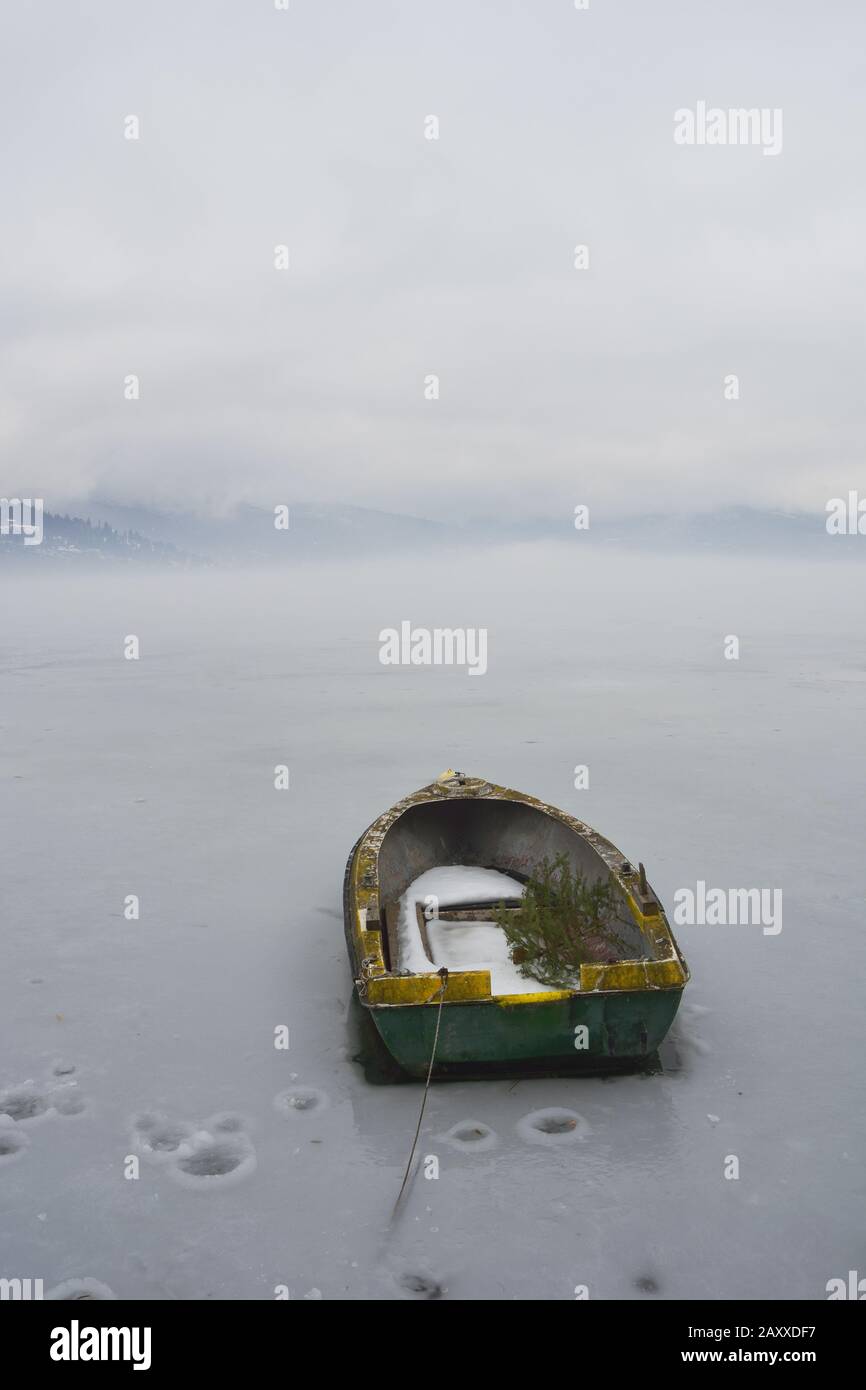 A branch of pine tree in a boat trapped in a frozen lake Stock Photo ...