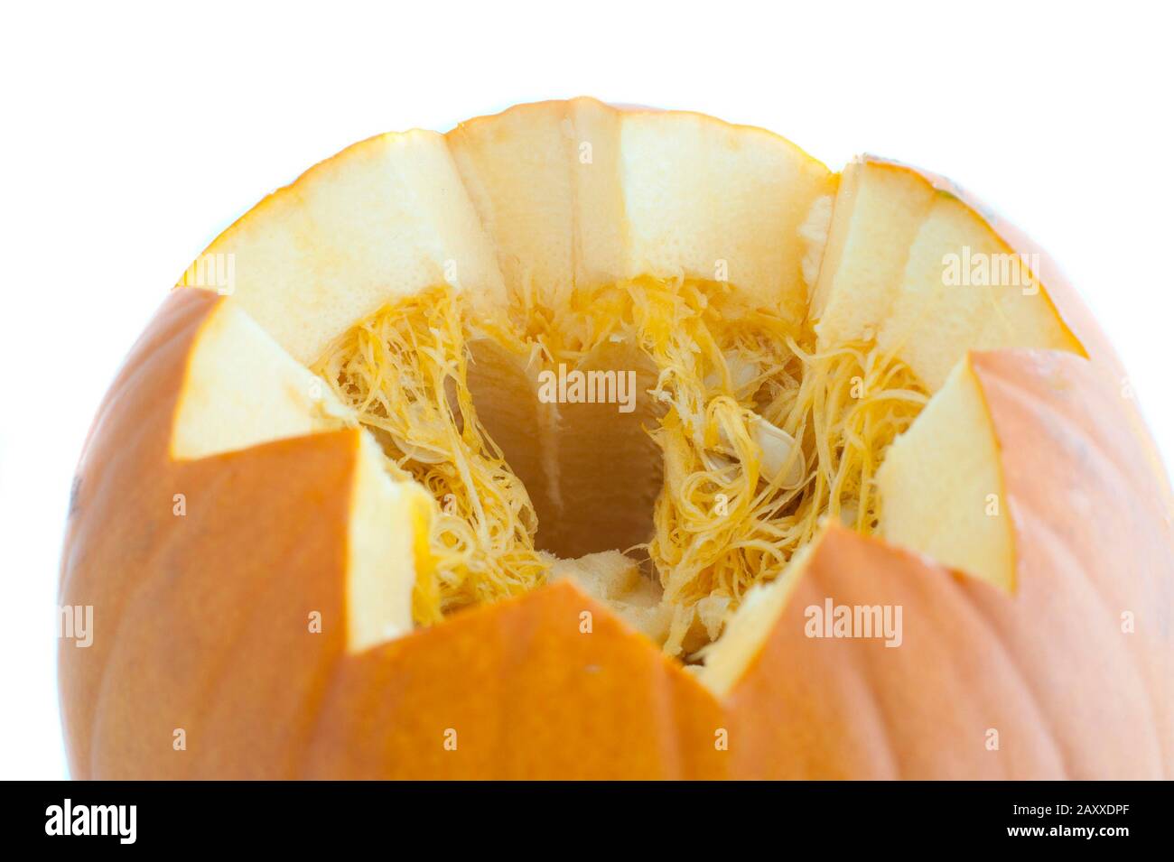Reveal inside hi-res stock photography and images - Alamy
