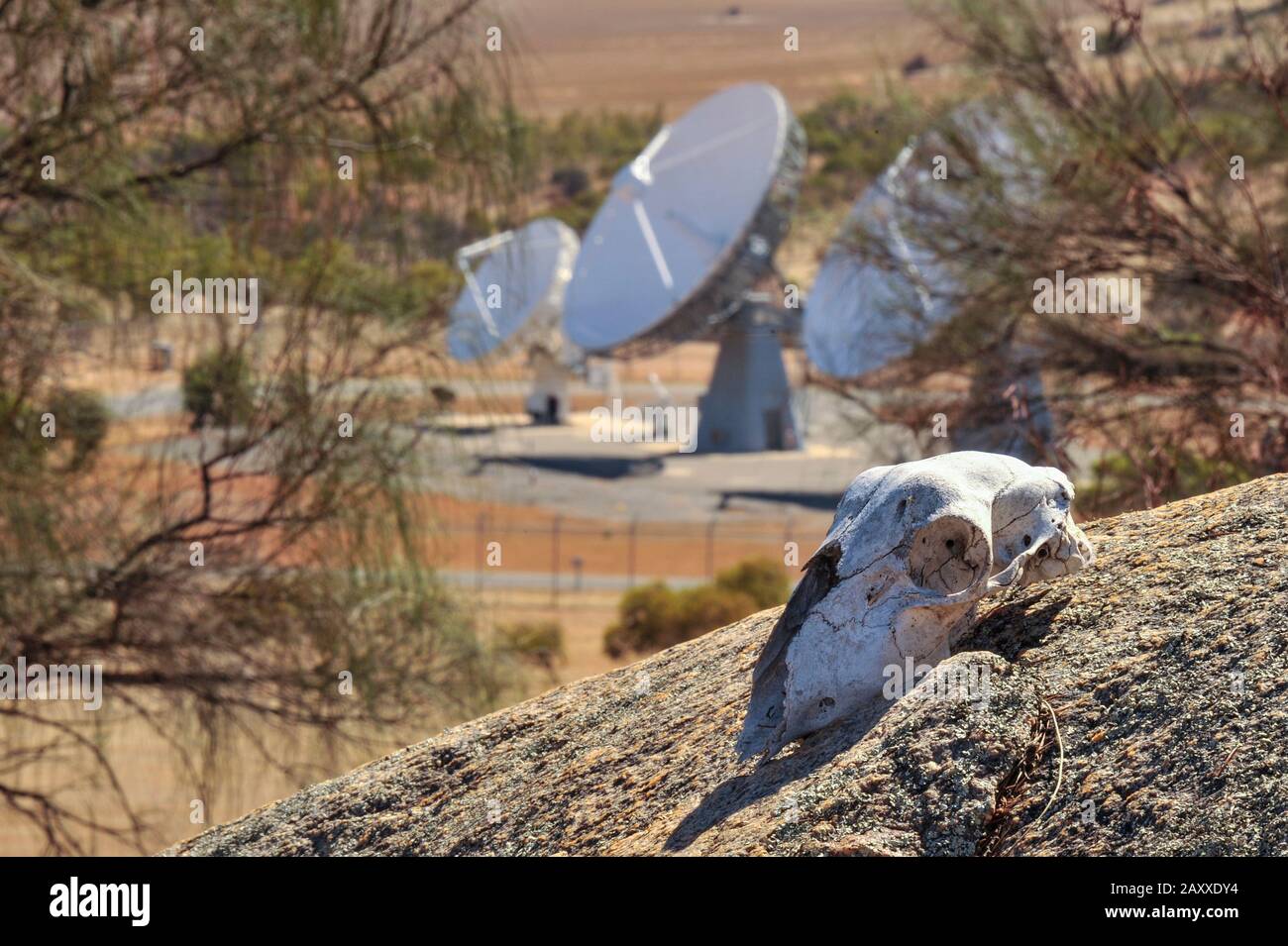 Telecommunications australia hi-res stock photography and images - Alamy