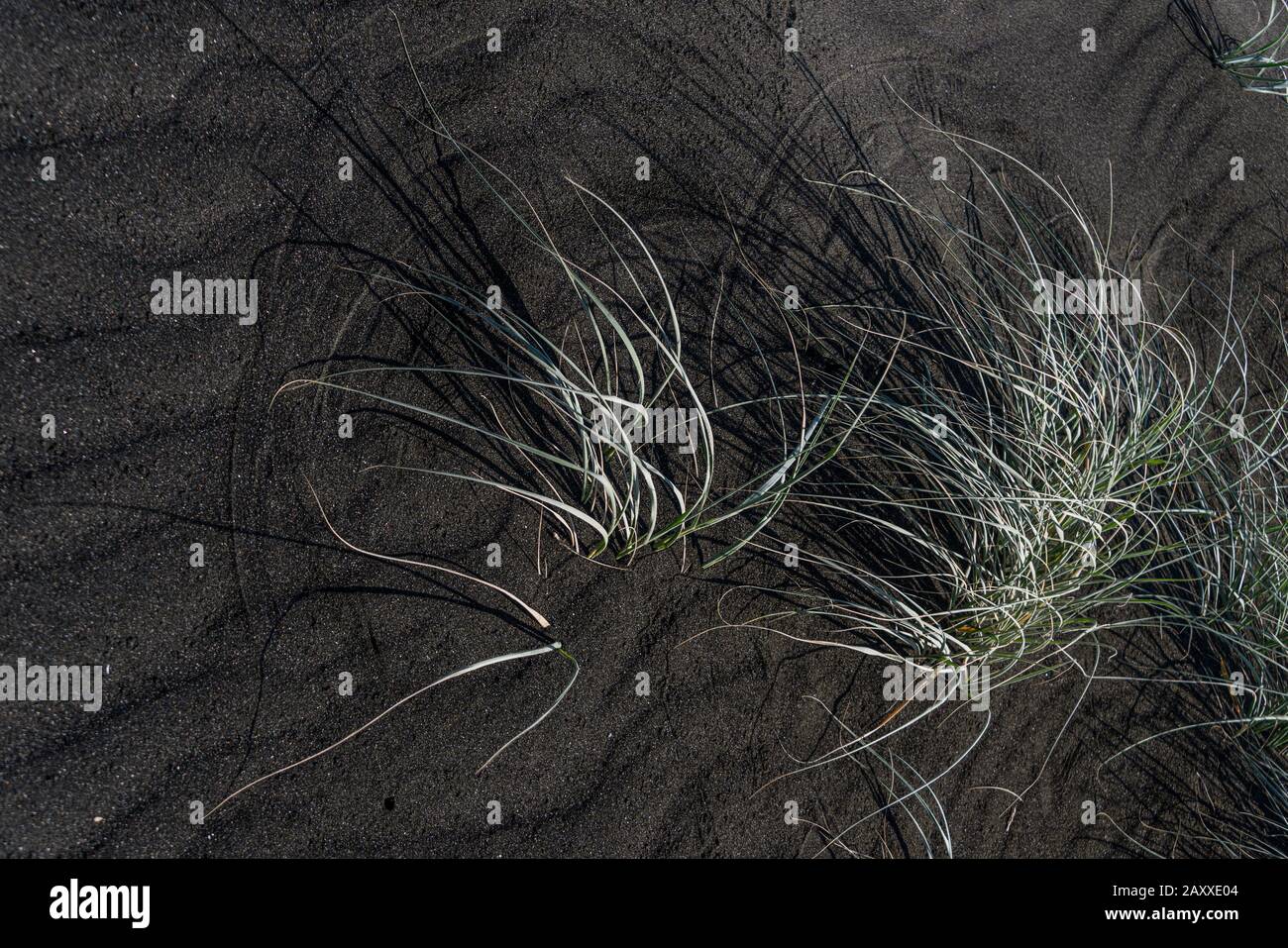 Binding sand hi-res stock photography and images - Alamy