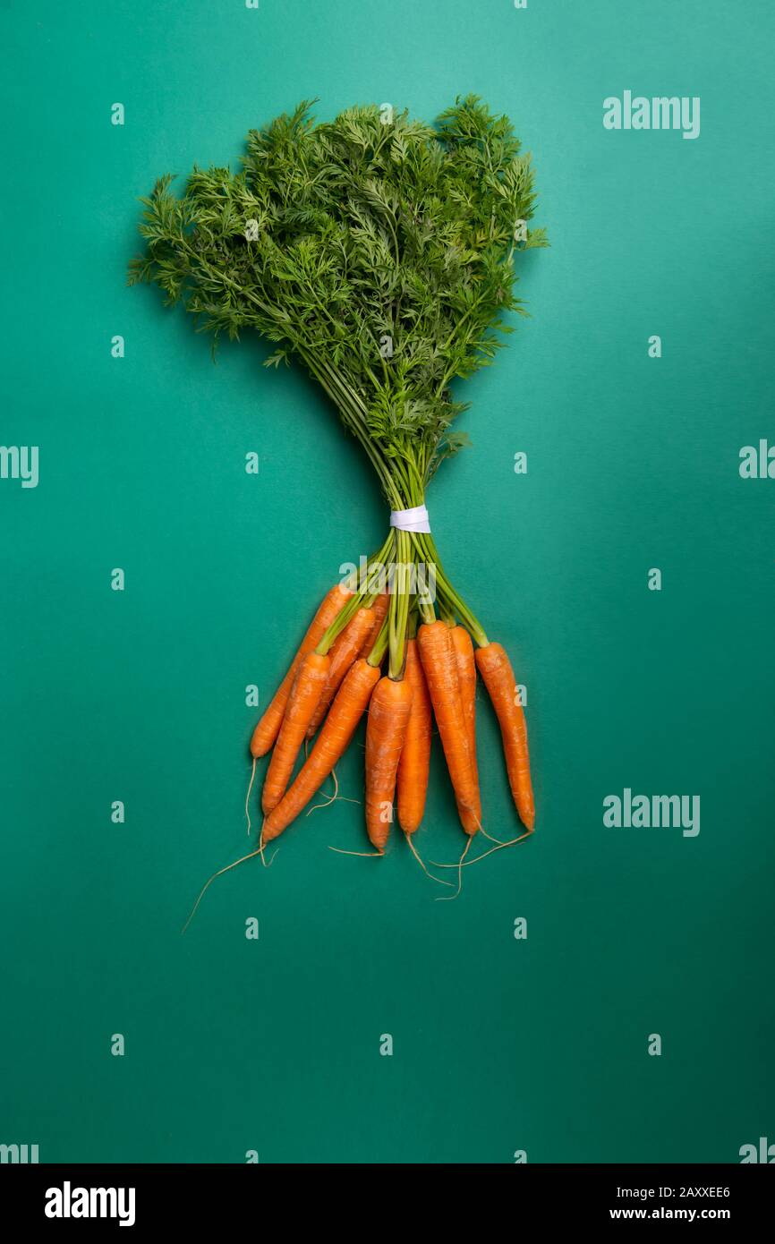 Top view fresh Raw carrot bunch with green leaves on paper green ...