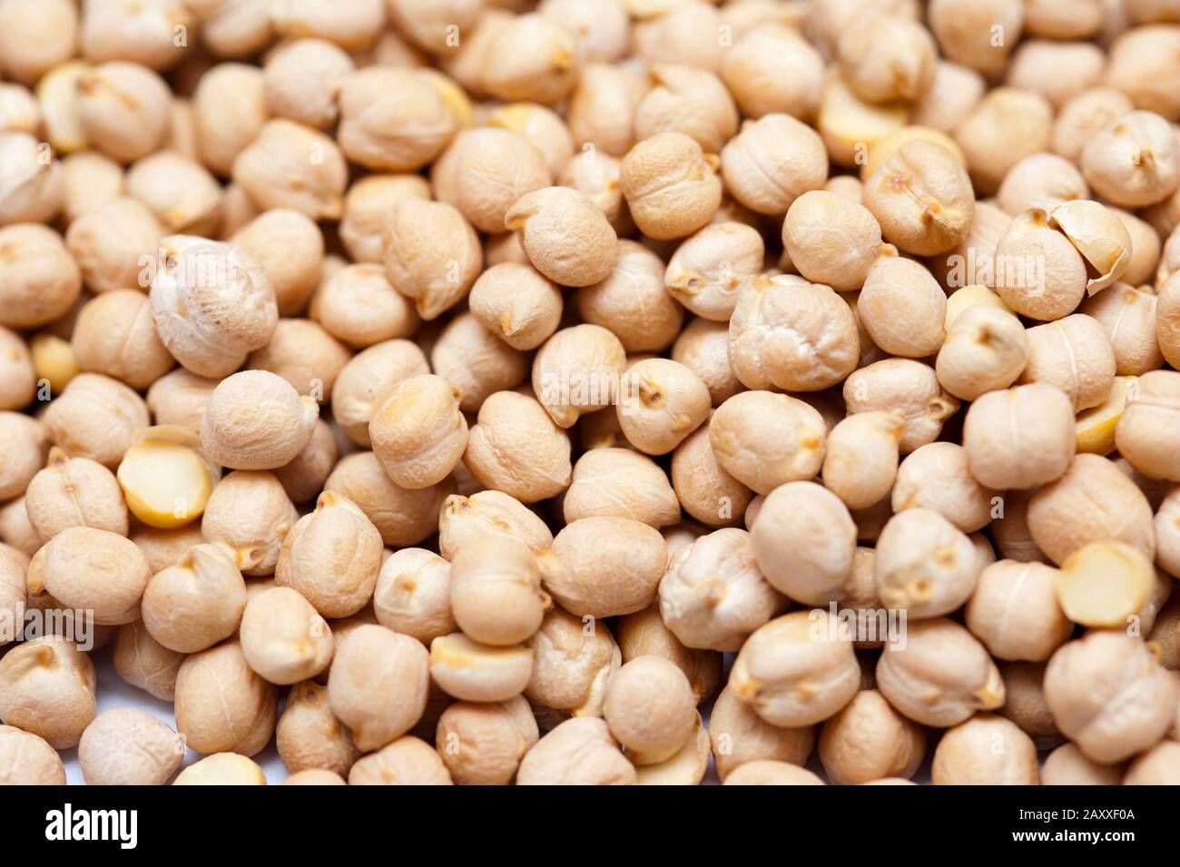 Are Garbanzo Beans A Vegetable