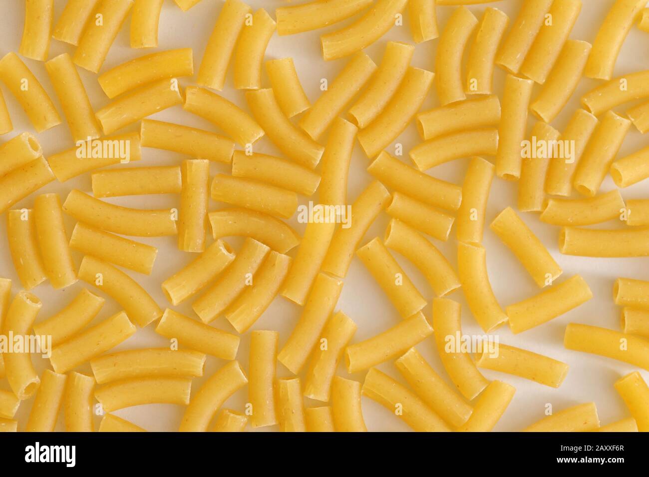 Single Macaroni Noodle