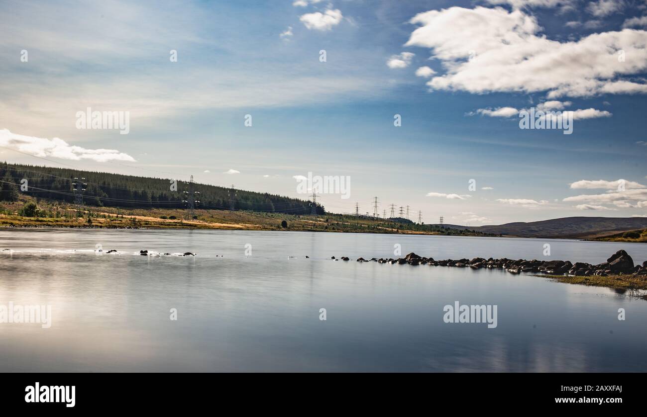 Buidhe hi-res stock photography and images - Alamy