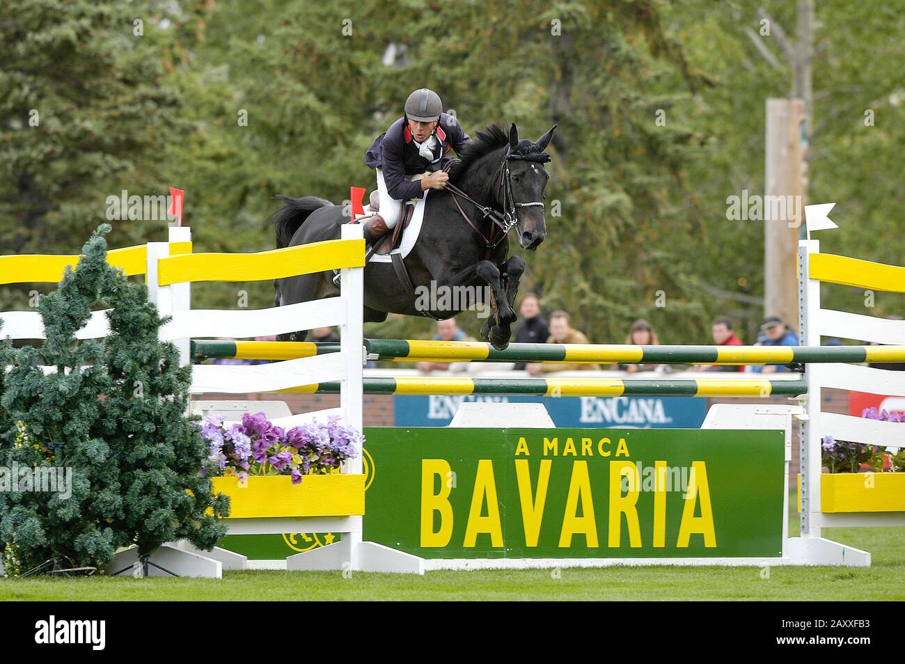 CSIO The Masters Spruce Meadows 2004, Molson Cup, Mark Armstrong, Great ...