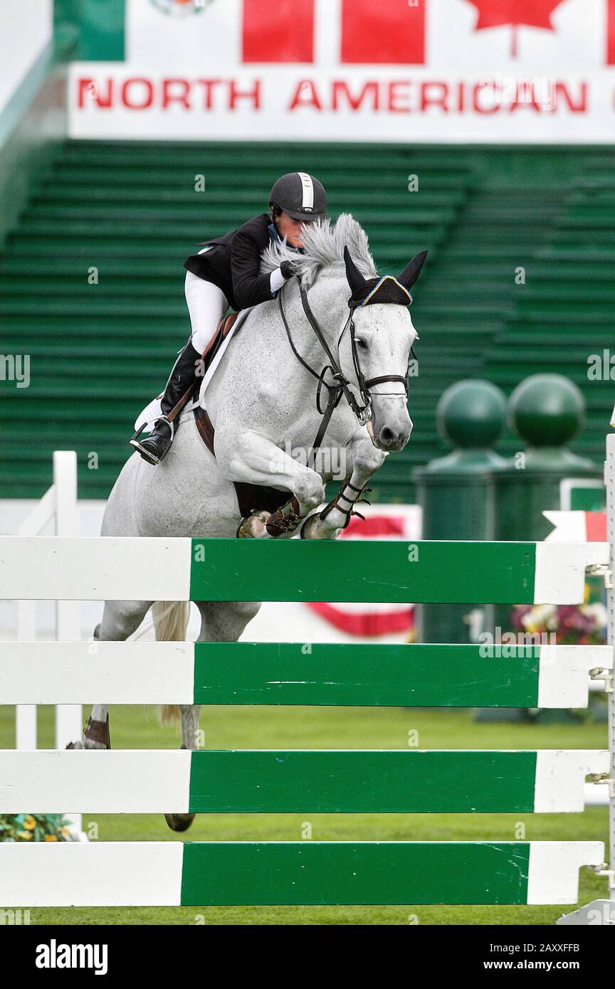 Molly gray hi-res stock photography and images - Alamy