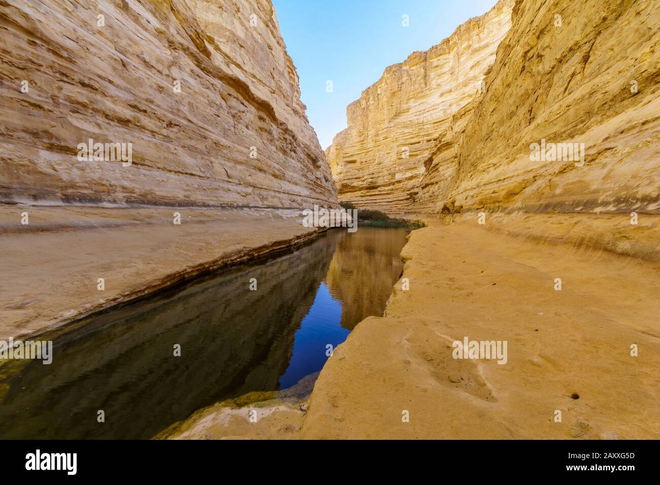 View of the Canyon of Ein Avdat National Park, the Negev Desert ...