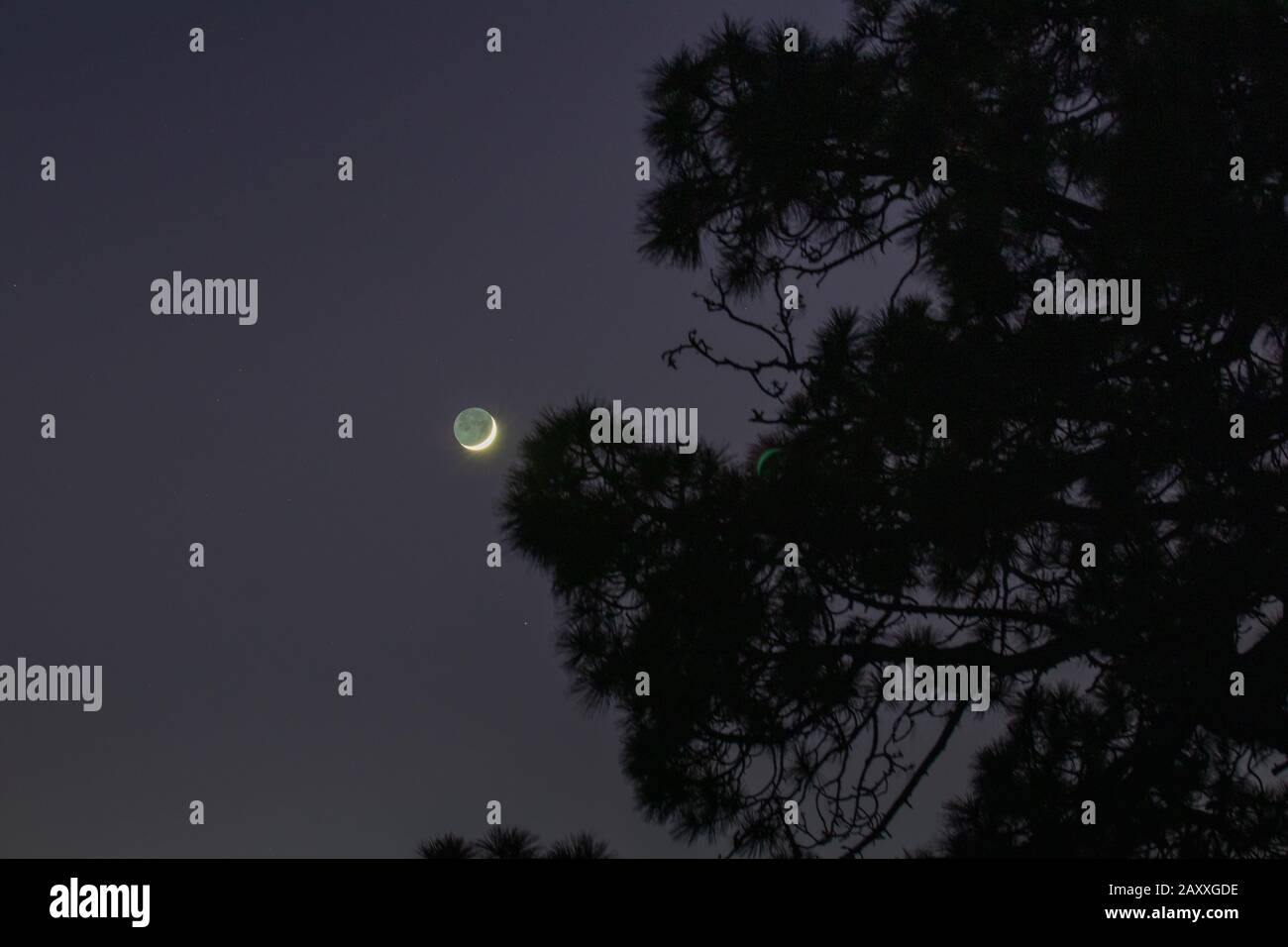 The young moon after sunset descends to the horizon and hides behind ...