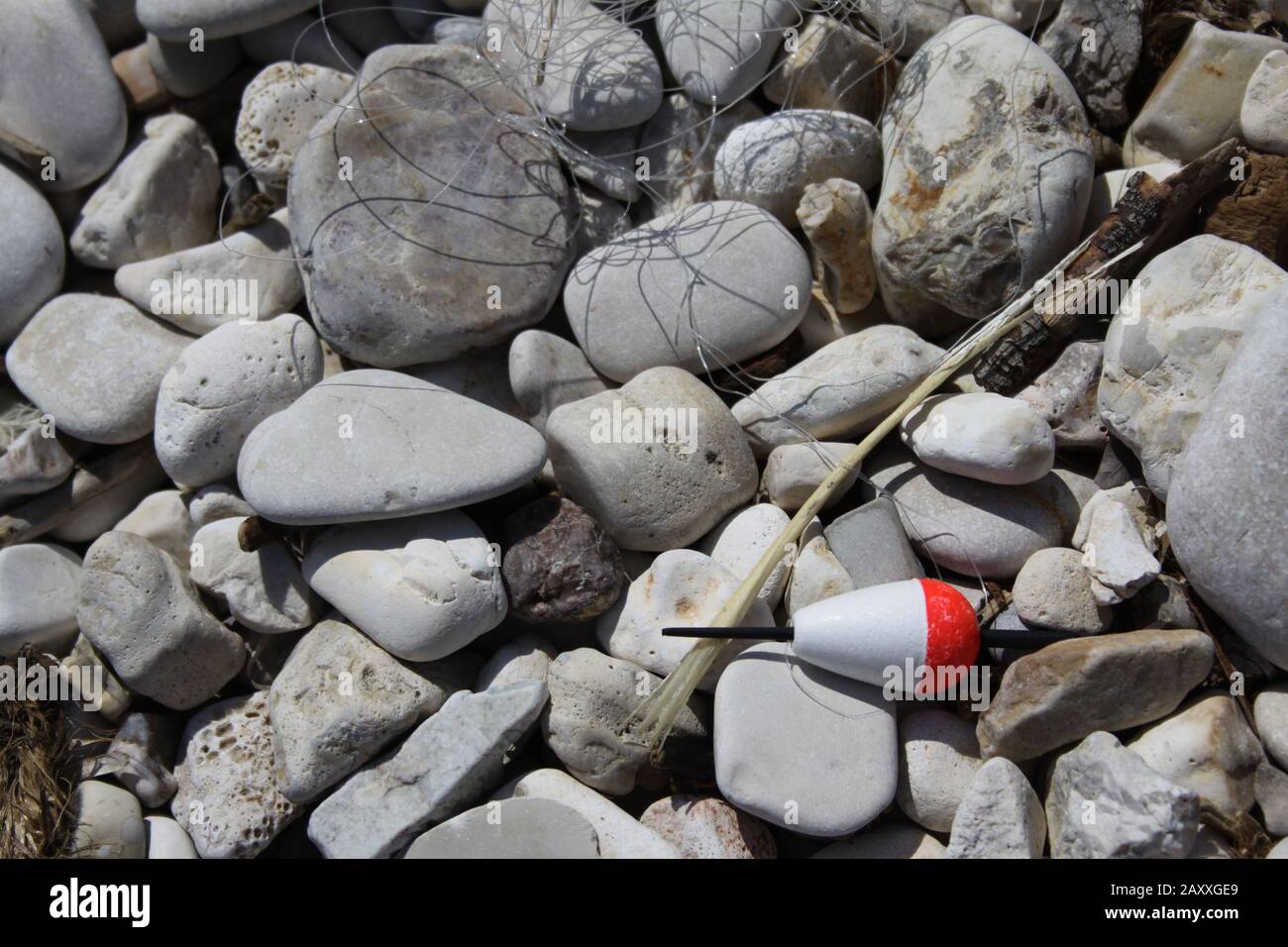 A float with a nylon line on the pebble stone beach. Left by a ...