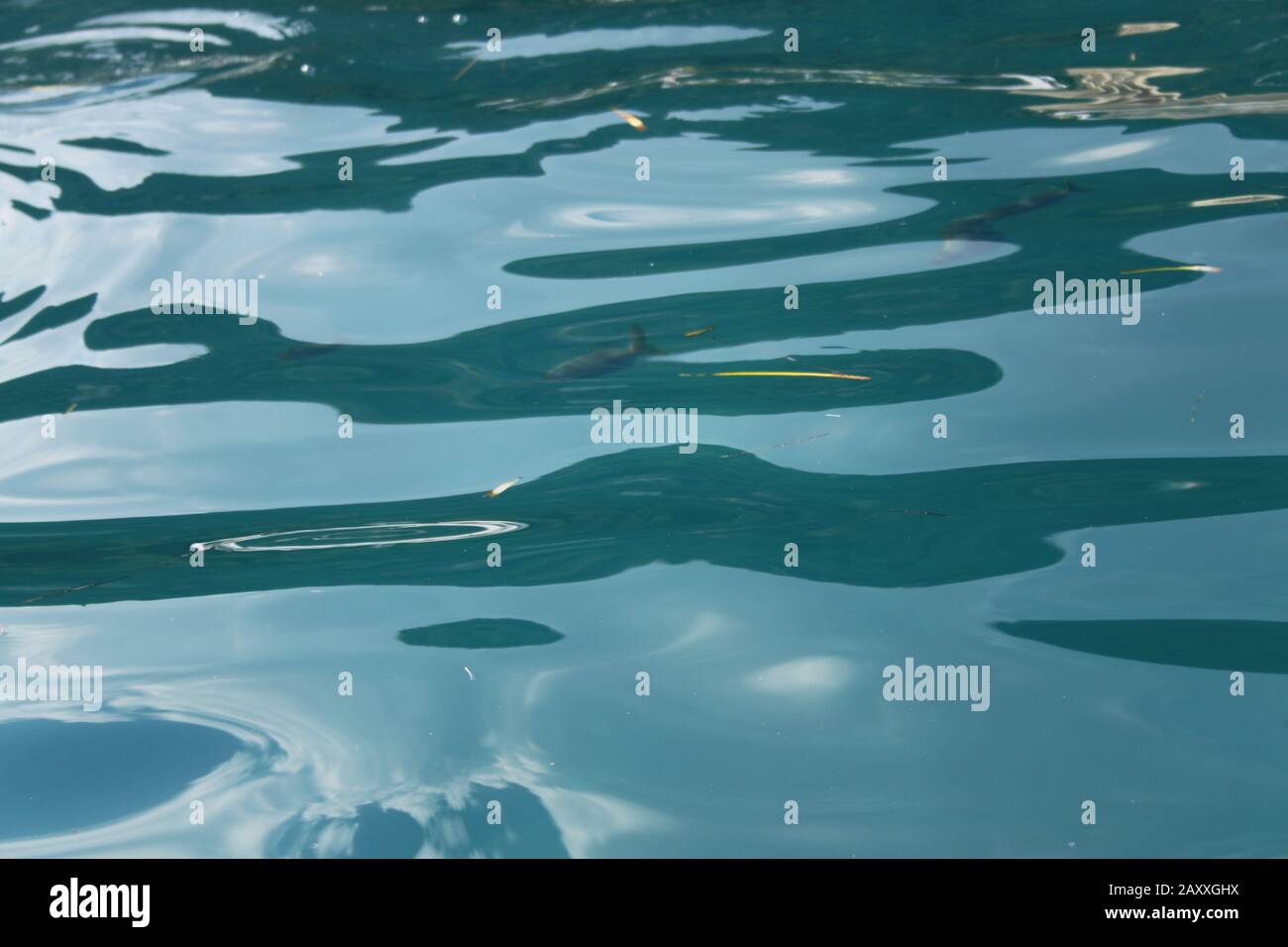 Wrinkles in the sunlight in the sea. Transparant water with swimming ...