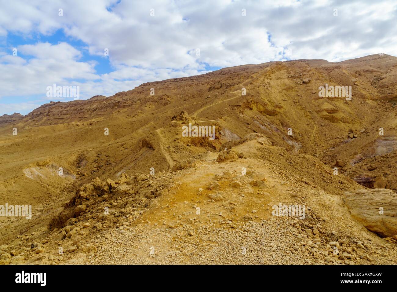 Landscape of Makhtesh (crater) Ramon (from mount Ardon), in the Negev ...