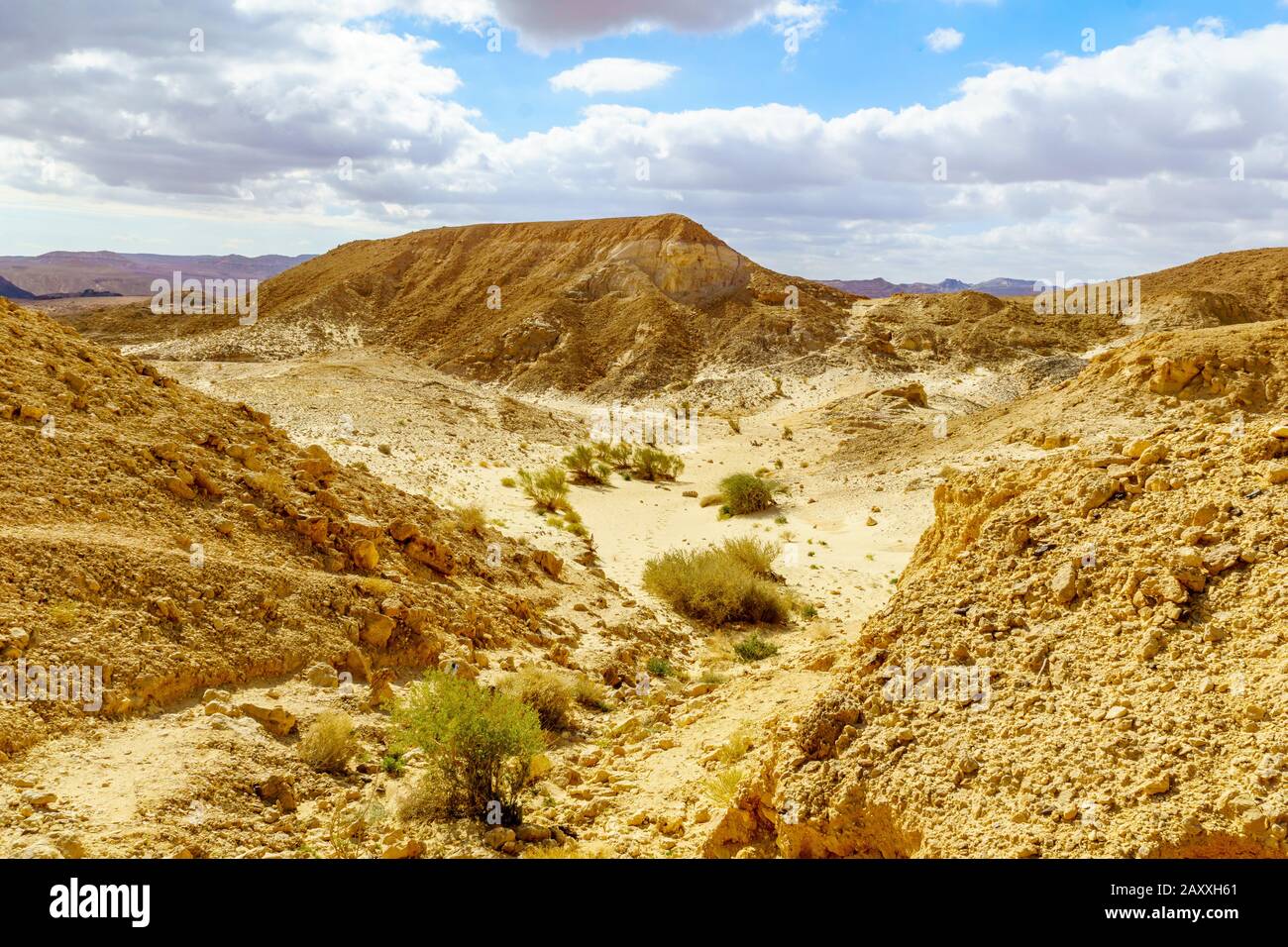 Landscape of Makhtesh (crater) Ramon (from mount Ardon), in the Negev ...
