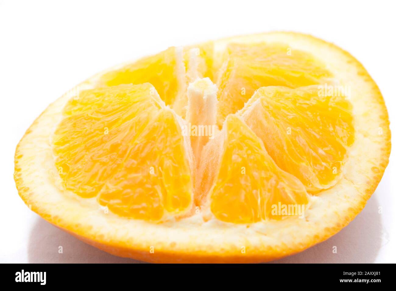 Fleshy structure hi-res stock photography and images - Alamy