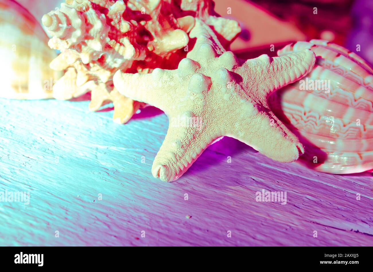 Fish star and sea shells. Wooden blue background with star fish and ...