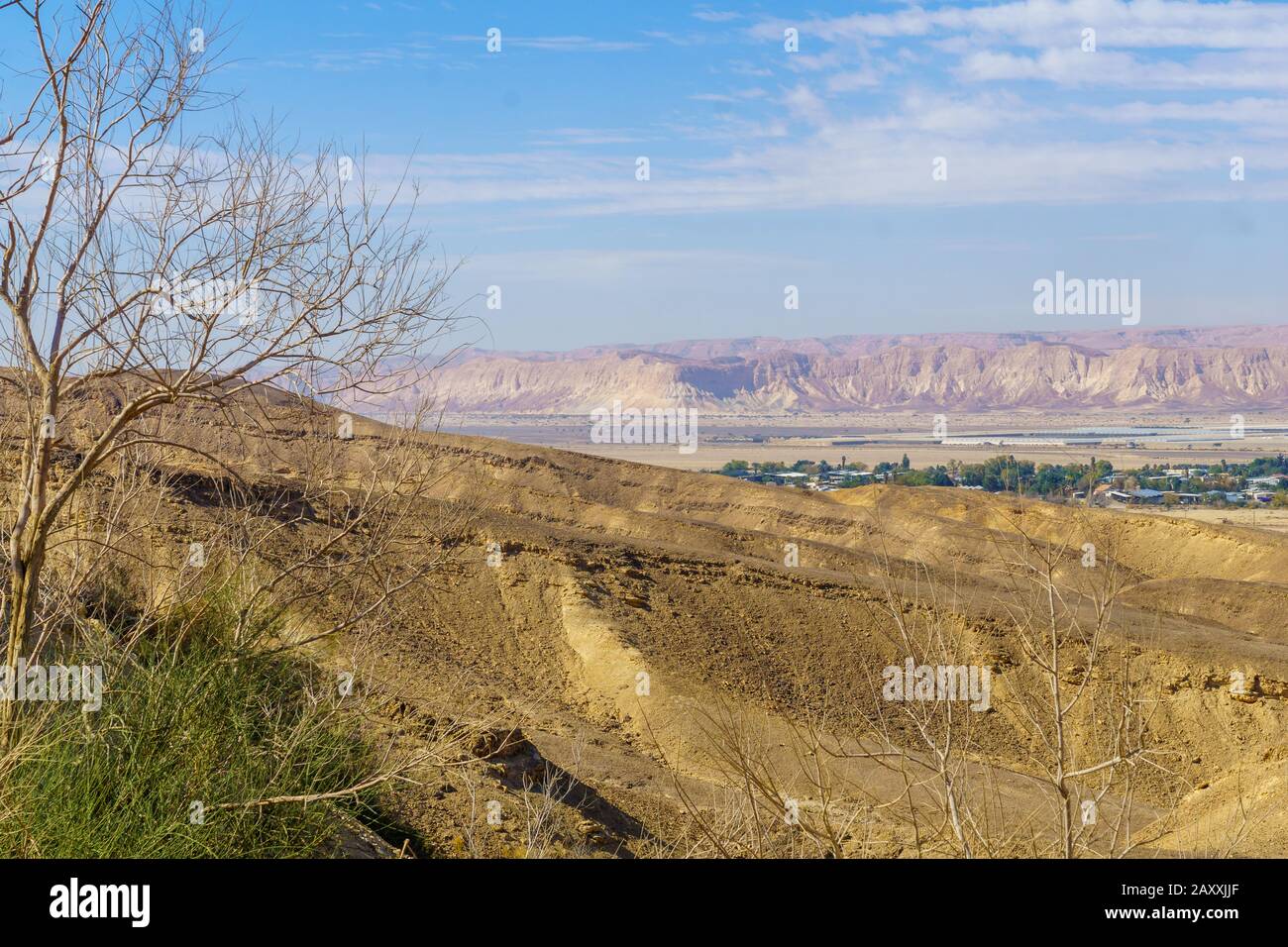 Paran arava hi-res stock photography and images - Alamy
