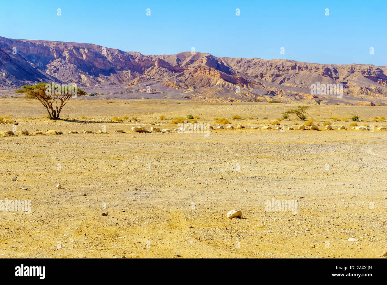 View of Wadi Paran Nature reserve, in the Negev Desert, Southern Israel ...