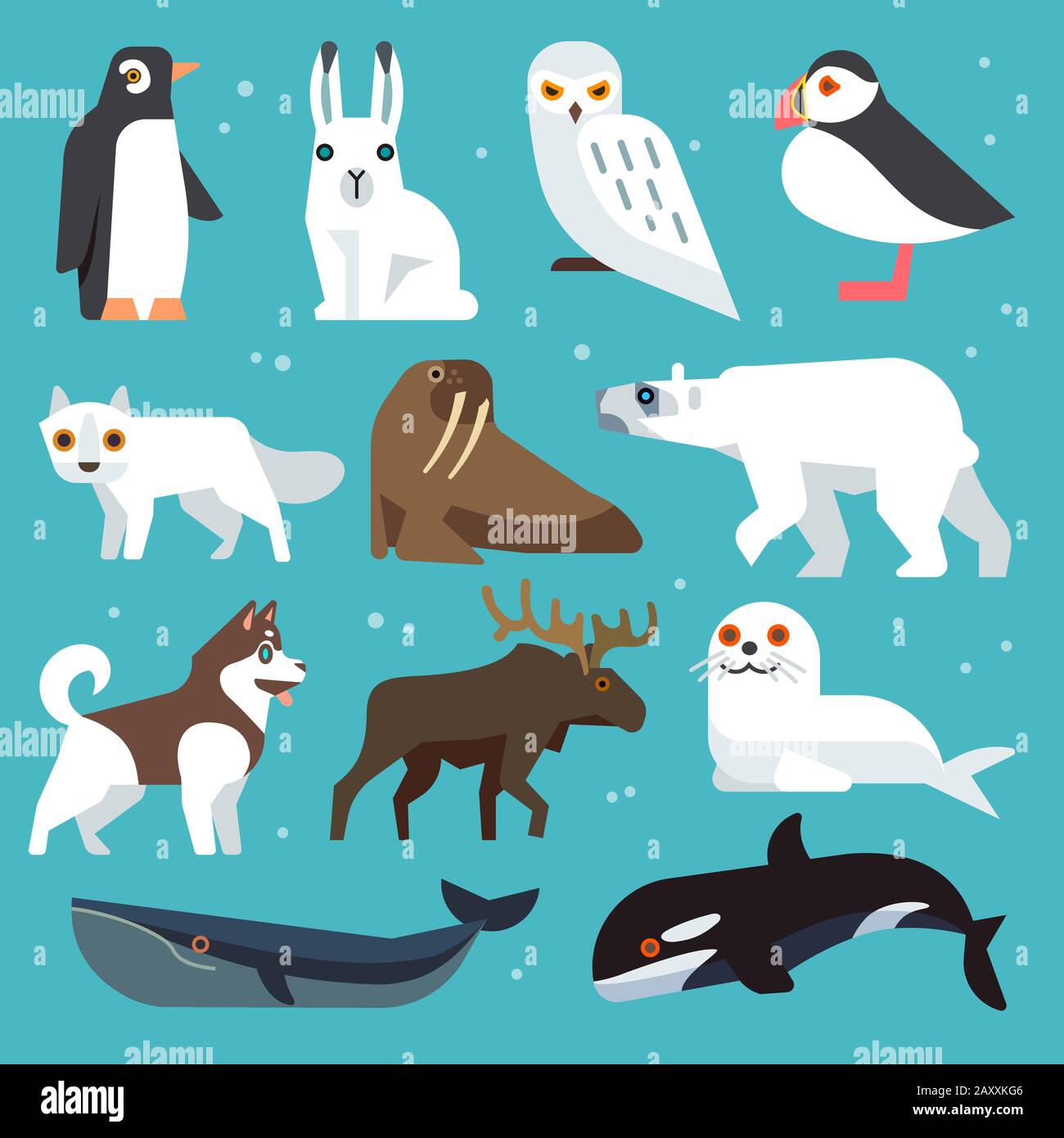 Polar bear arctic fox hi-res stock photography and images - Alamy