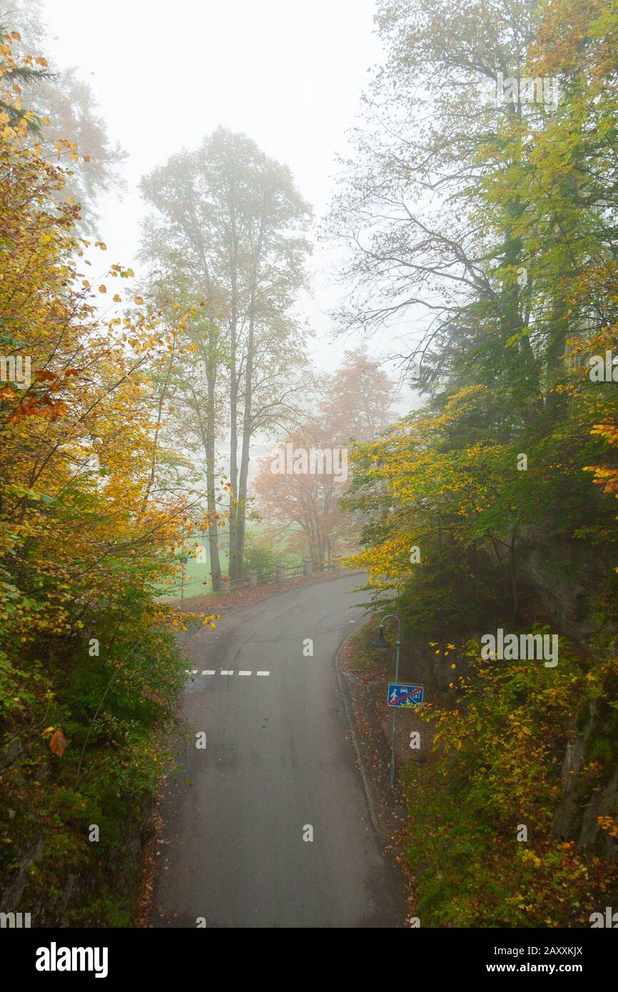 A foot path through a forest in Bavarian Alps Stock Photo - Alamy