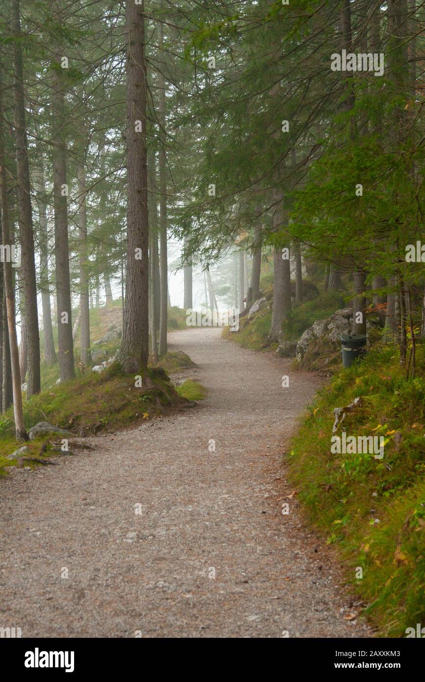 Indian summer forest path hi-res stock photography and images - Alamy