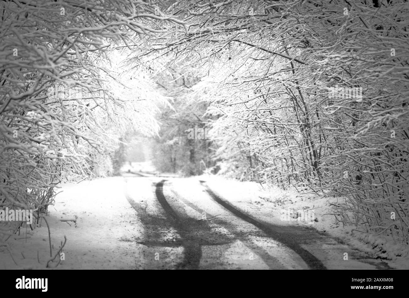Black and white winter landscape. Black and white winter photography ...