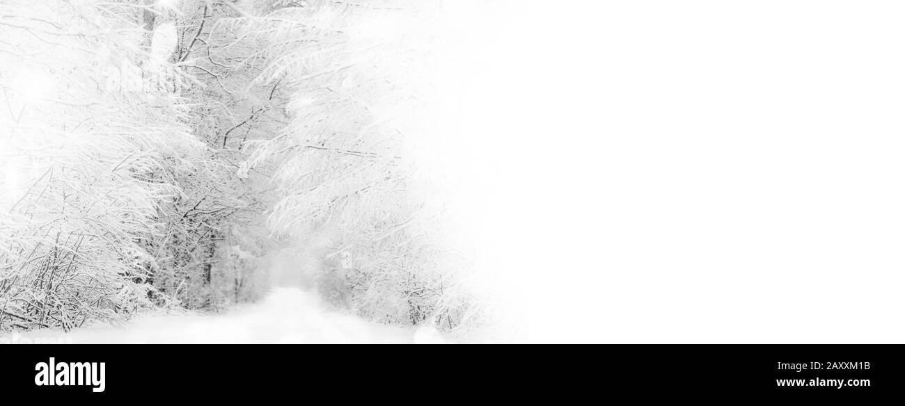 Snowy frozen winter road. Tire tracks in the snow. Snow covered winter ...