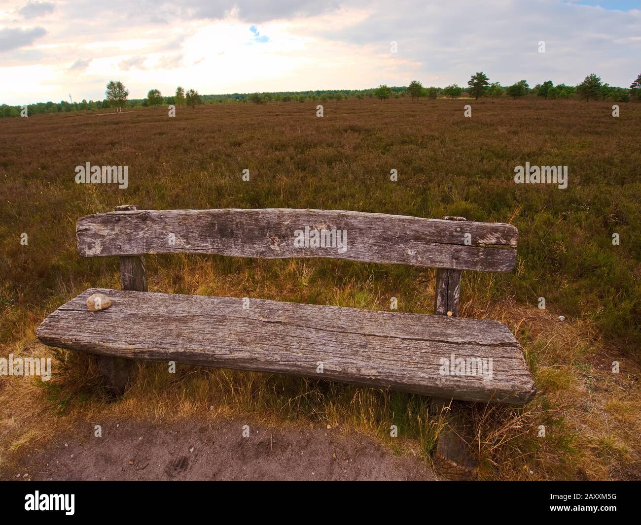 Bank gras hi-res stock photography and images - Alamy