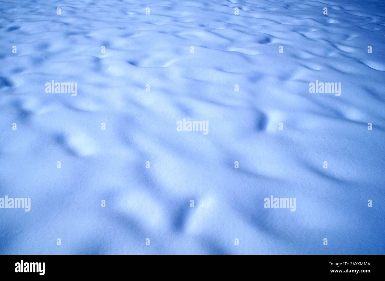 High angle view snow background. Snow white texture. Background of snow ...