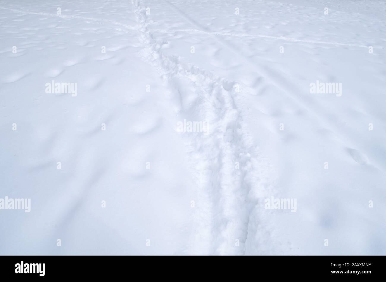 Winter landscape with snow. Background of fresh snow. Snowfall texture ...