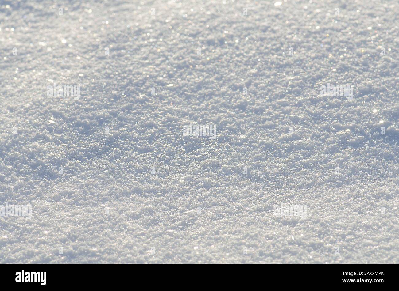 Background of fresh snow. Natural winter background. Snow texture in ...