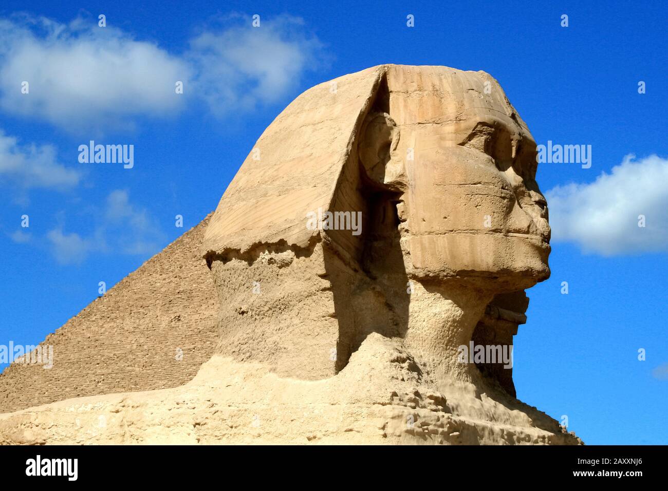 Ancient Egyptian Sphinx Head