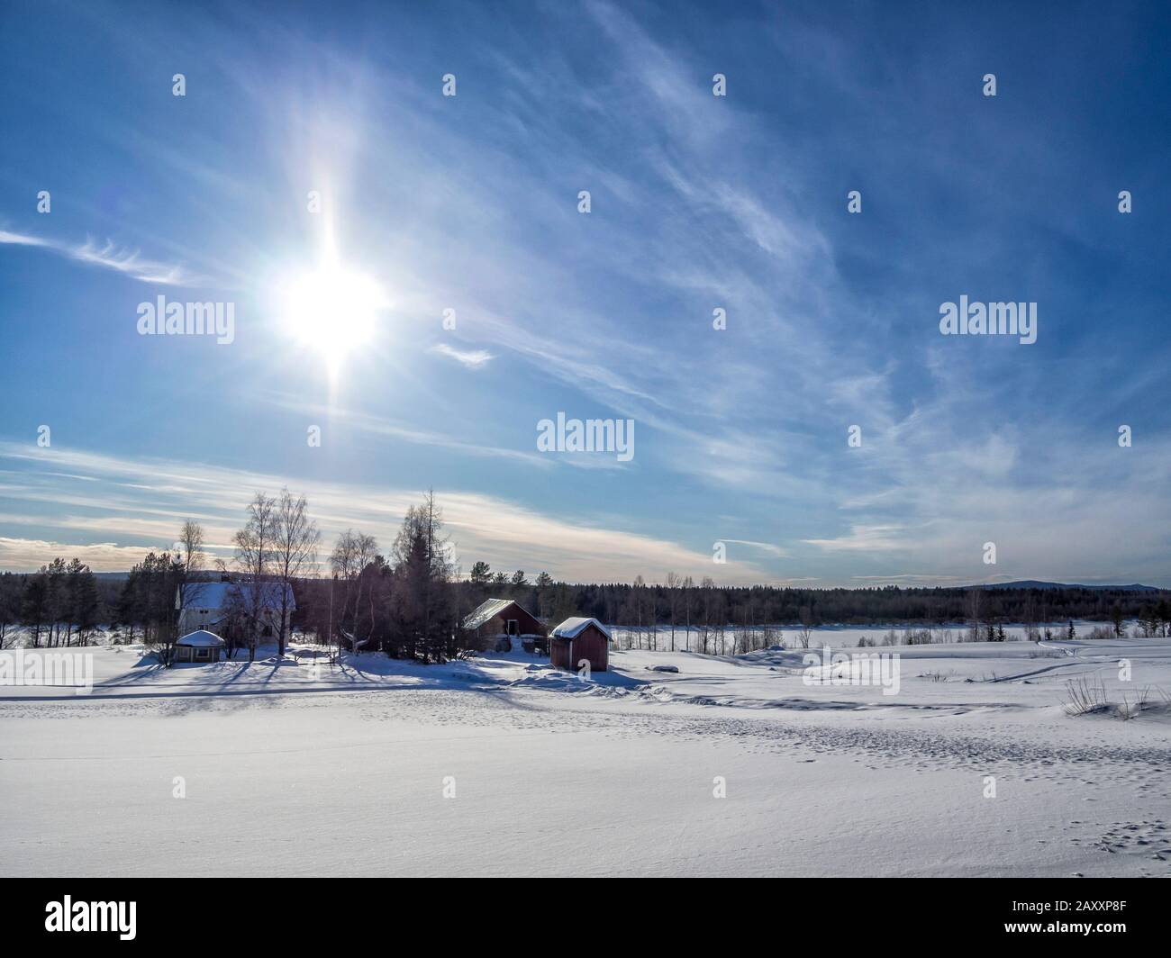A snowed field under a blue sky during winter Stock Photo - Alamy