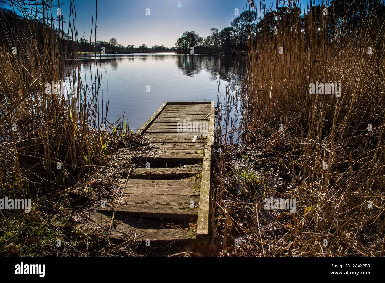 Redesmere lake hi-res stock photography and images - Alamy