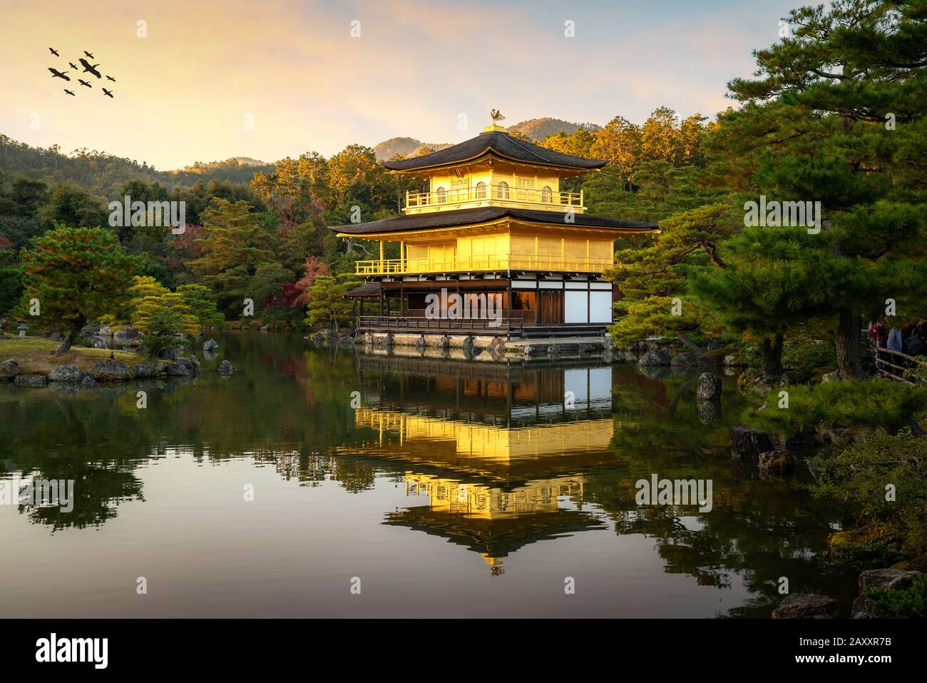 View of Kinkakuji the famous Golden Pavilion with Japanese garden and ...