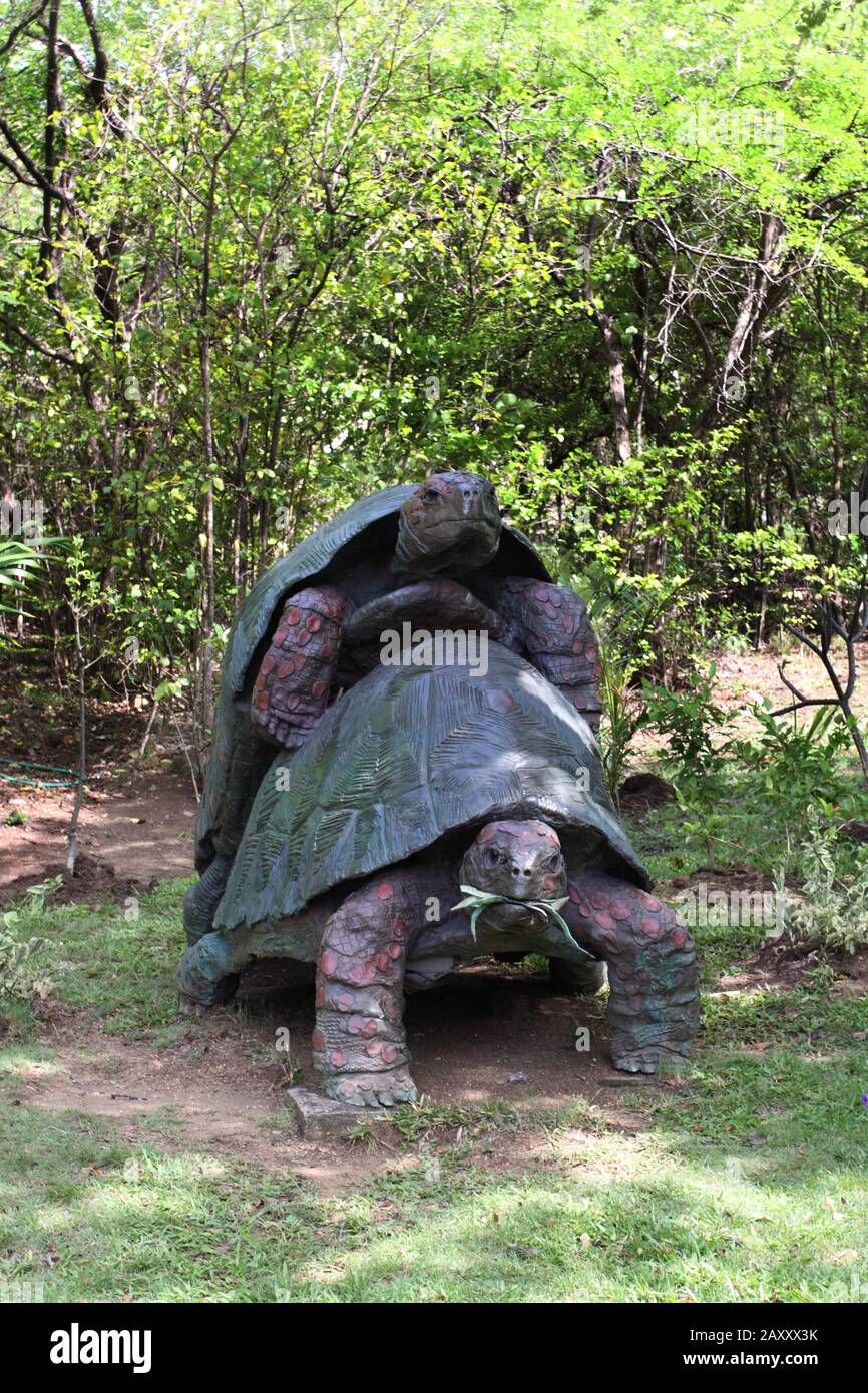 Mustique island or mosquito hi-res stock photography and images - Alamy