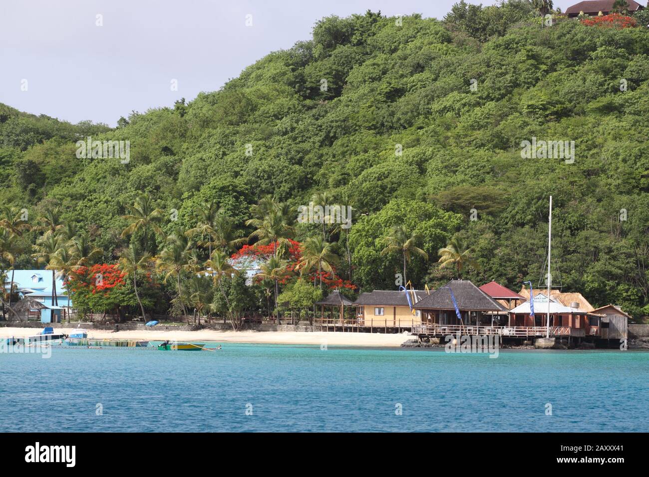 Basils mustique hi-res stock photography and images - Alamy