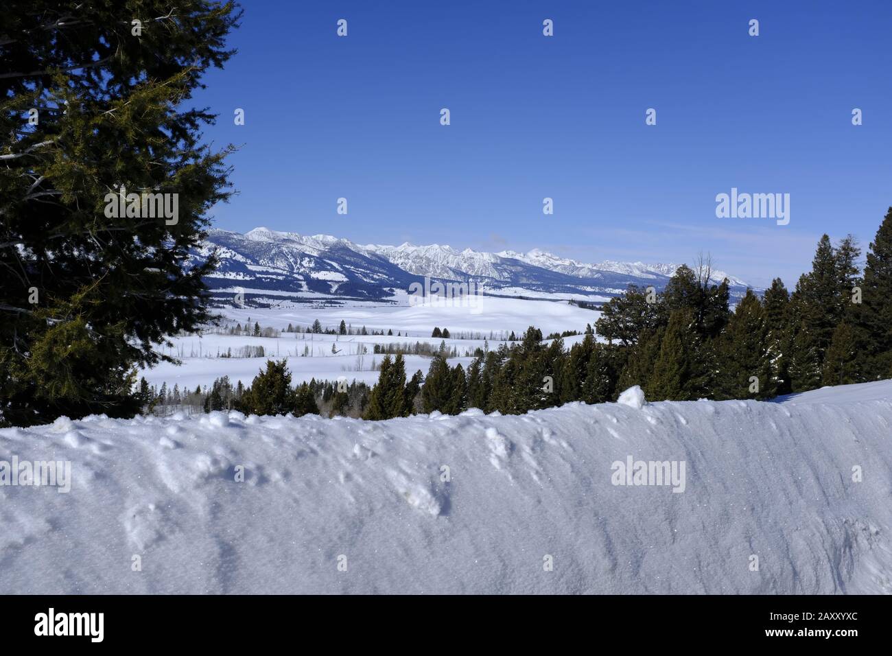 Sawtooth snowmobile tracks hi-res stock photography and images - Alamy