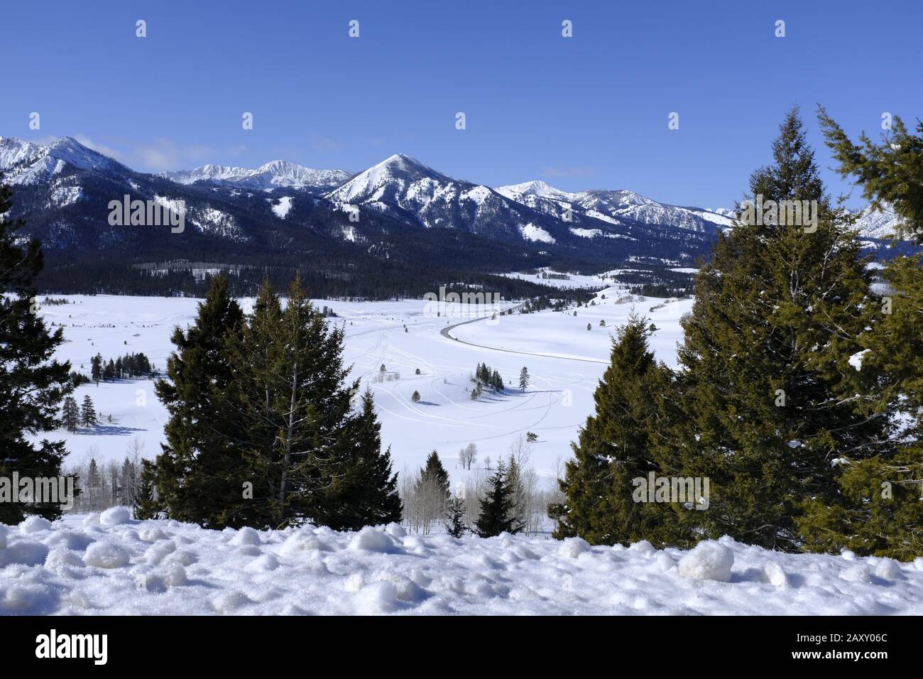 Elk tracks in snow hi-res stock photography and images - Alamy