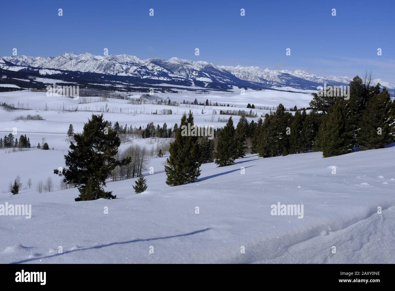 Sawtooth snowmobile tracks hi-res stock photography and images - Alamy