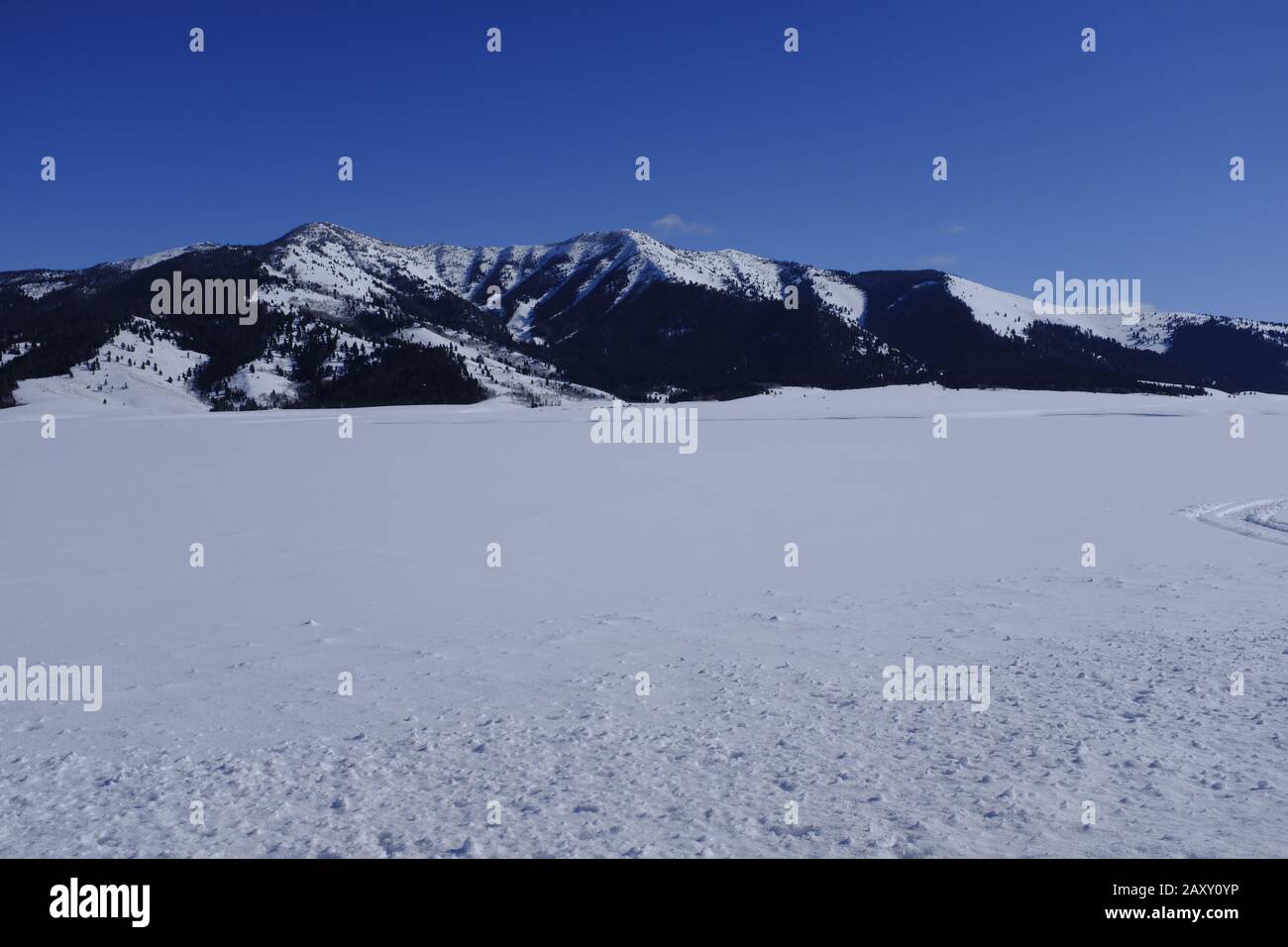 Sawtooth snowmobile tracks hi-res stock photography and images - Alamy