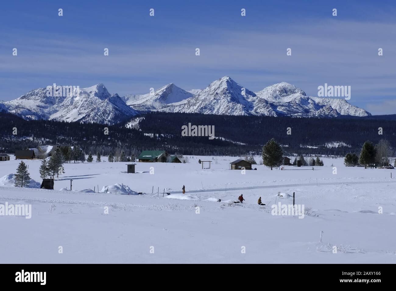 Elk tracks in snow hi-res stock photography and images - Alamy