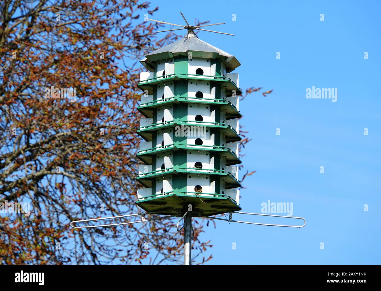A large six-levels bird house Stock Photo - Alamy