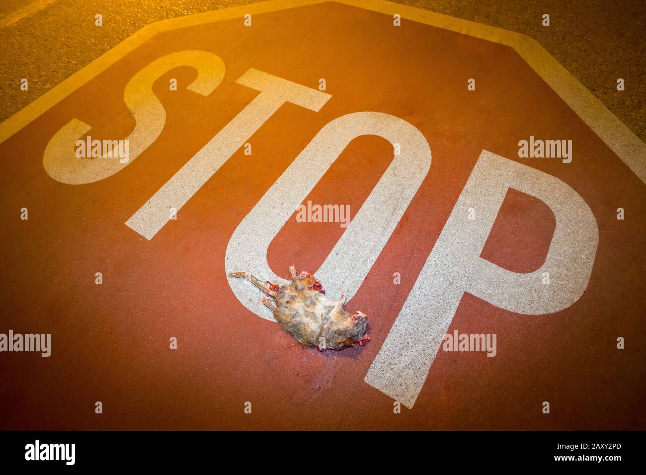 Rat run hi-res stock photography and images - Alamy