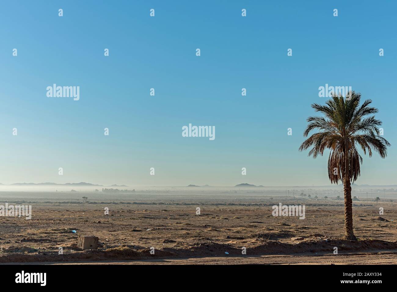 Mist desert hi-res stock photography and images - Alamy