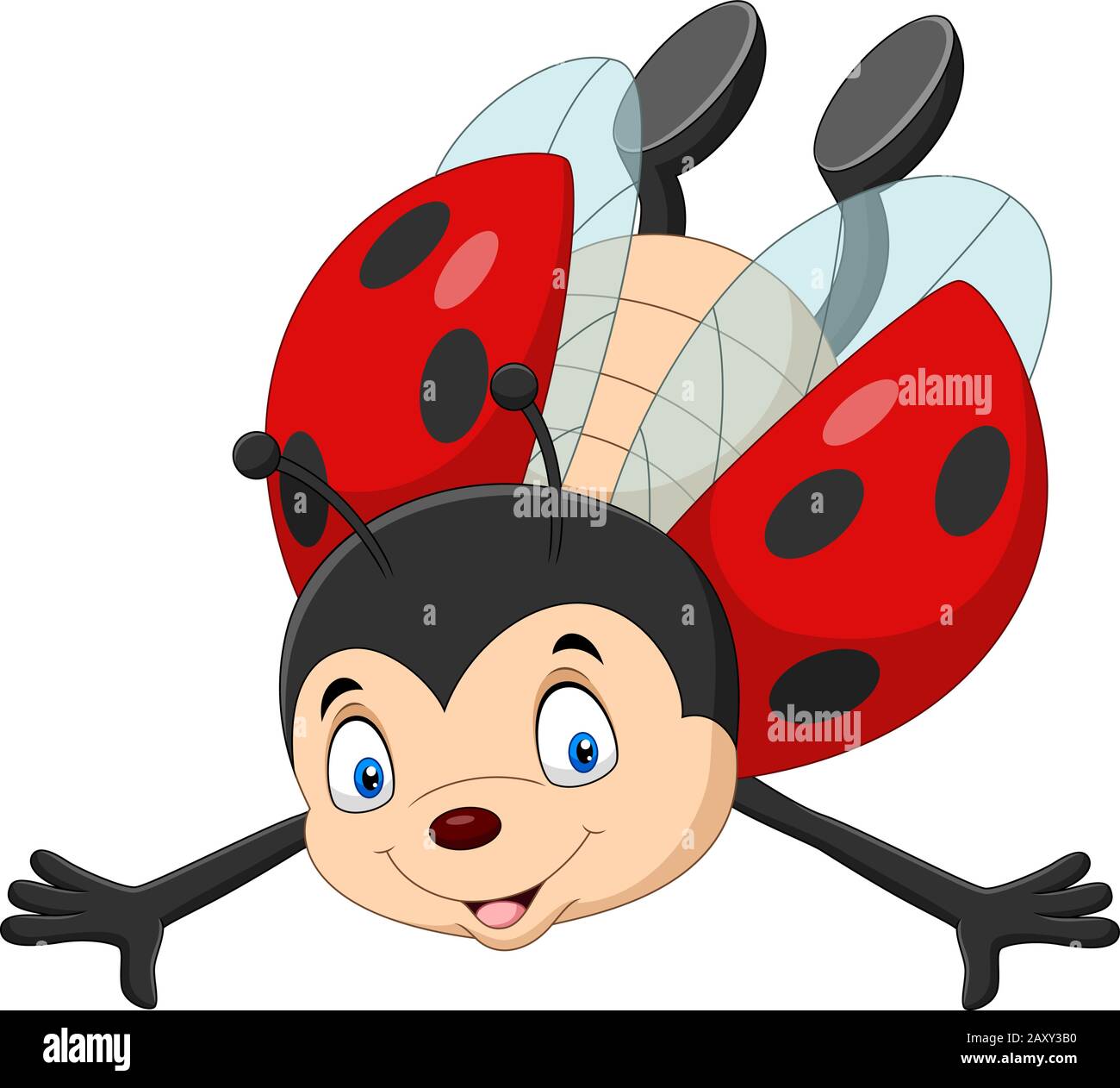 Cartoon ladybug flying on white background Stock Vector Image & Art - Alamy