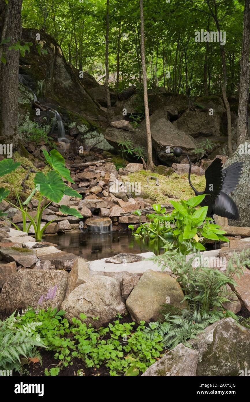 Waterfall Ponds Pictures Statues