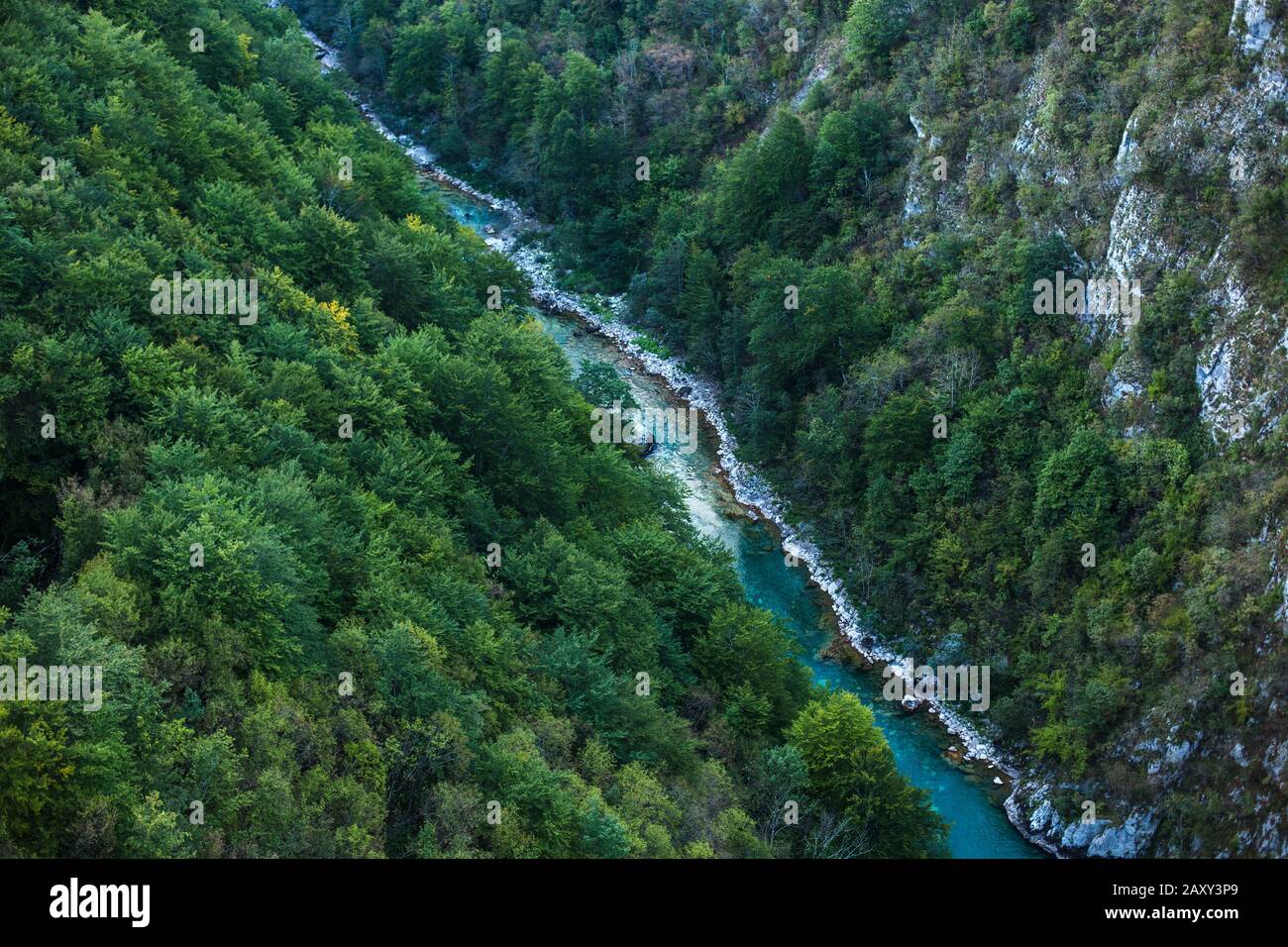 Mountain gorge with a river below. Green mountains. Canyon of mountain ...