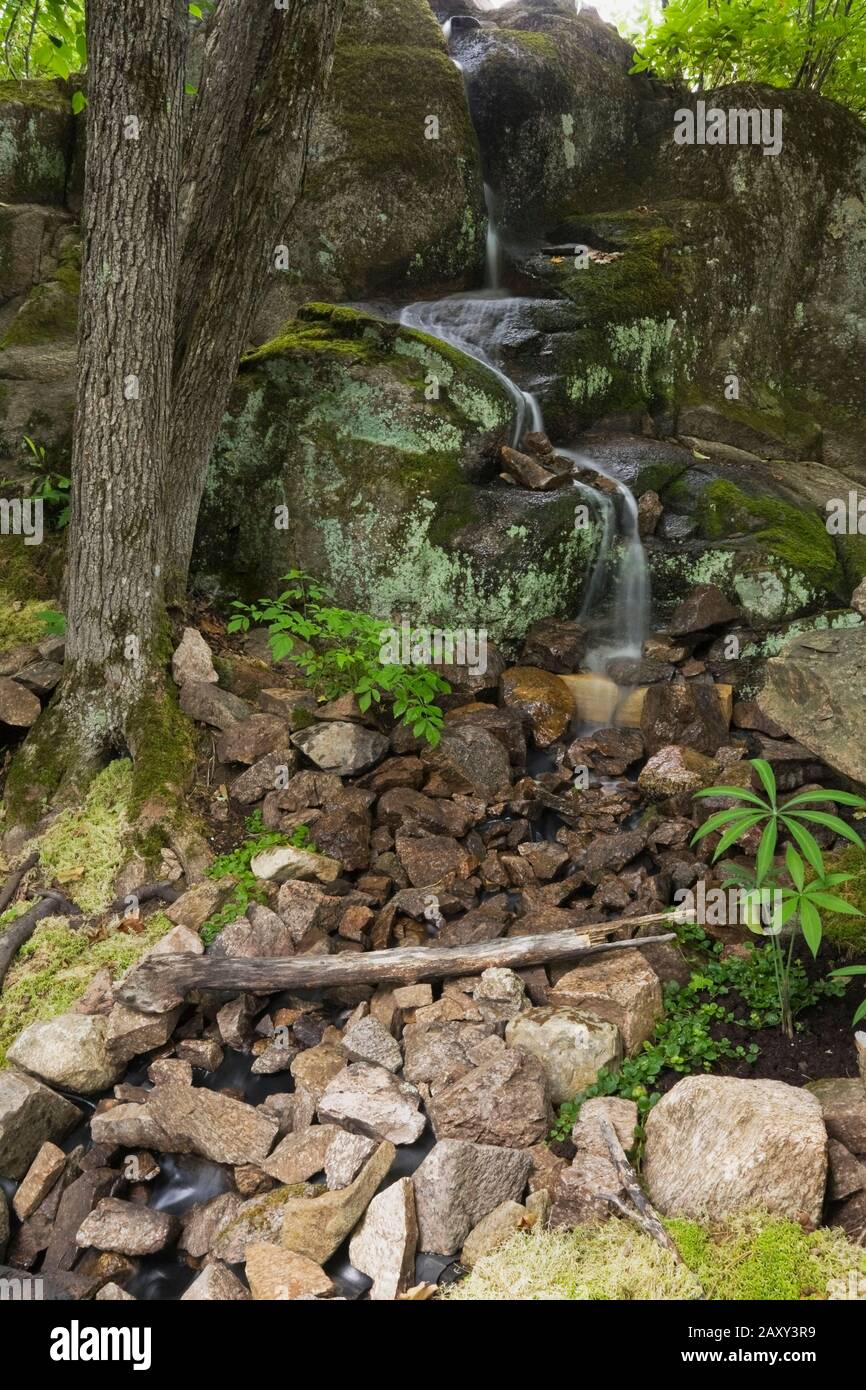 Cascading layout hi-res stock photography and images - Alamy