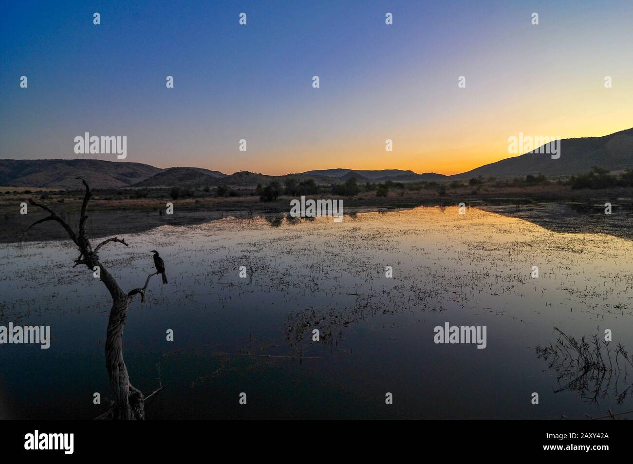 Sunset at Pilanesberg Nature Reserve looking over Mankwe Dam in South ...