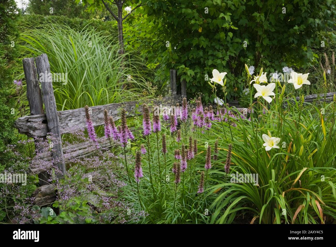 Rustic Fence Border Garden