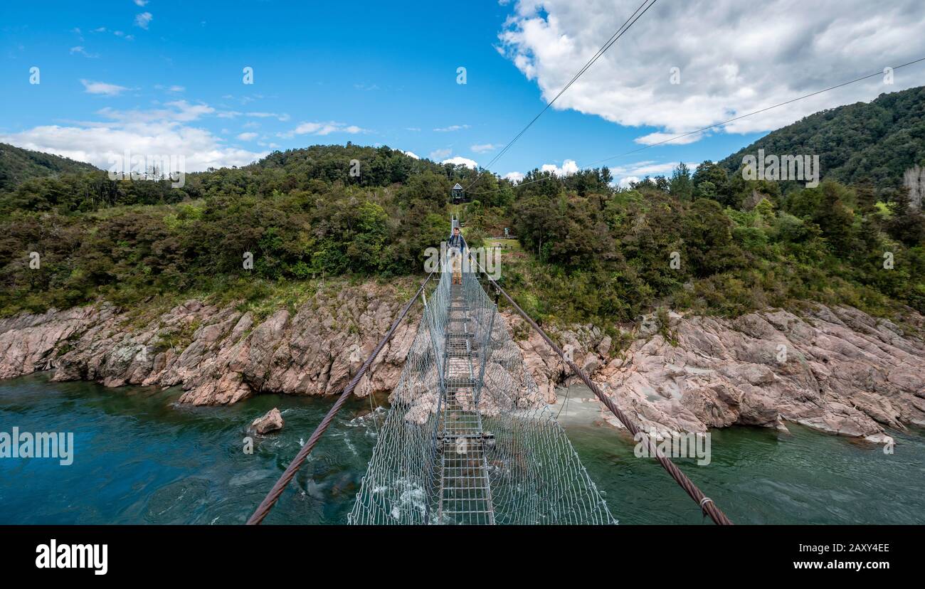 Young man on suspension bridge over Buller River, Buller Gorge Swing ...